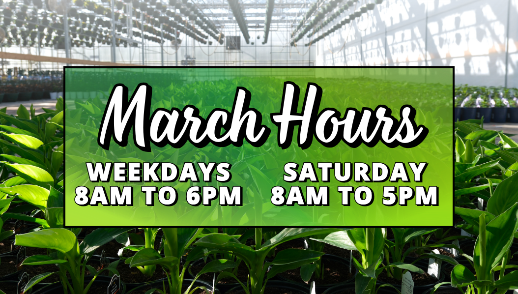 Woldhuis Farms Sunrise Greenhouse